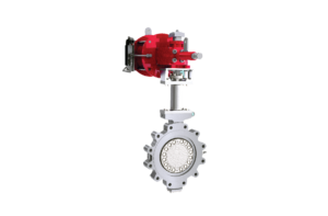 Products Portfolio – BDK VALVES